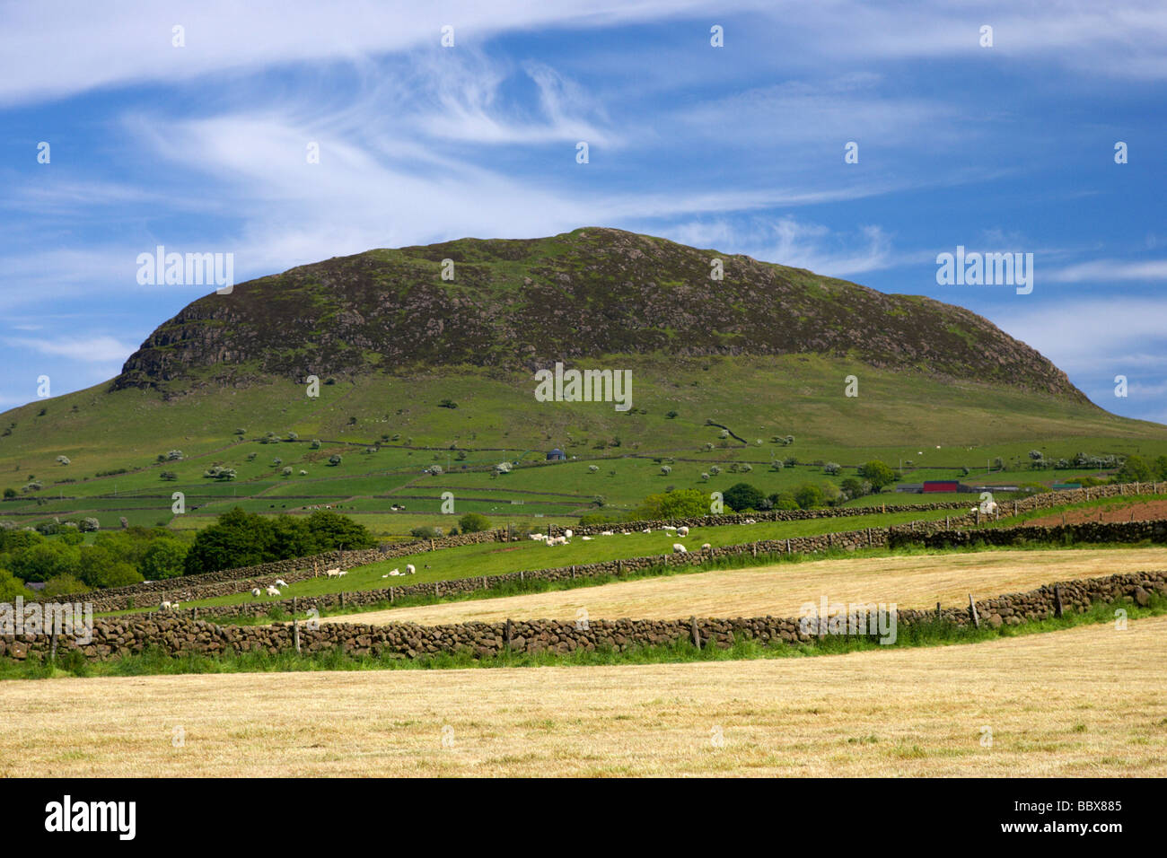 slemish mountain county antrim northern ireland st patrick was said to ...