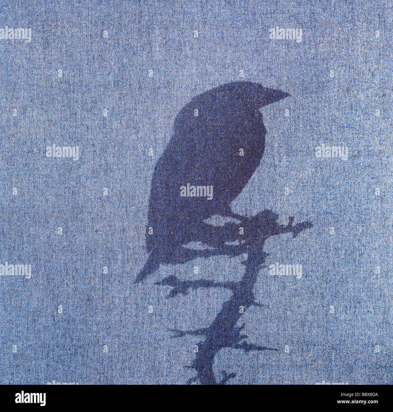 Shadow of a bird perched on branch Stock Photo - Alamy