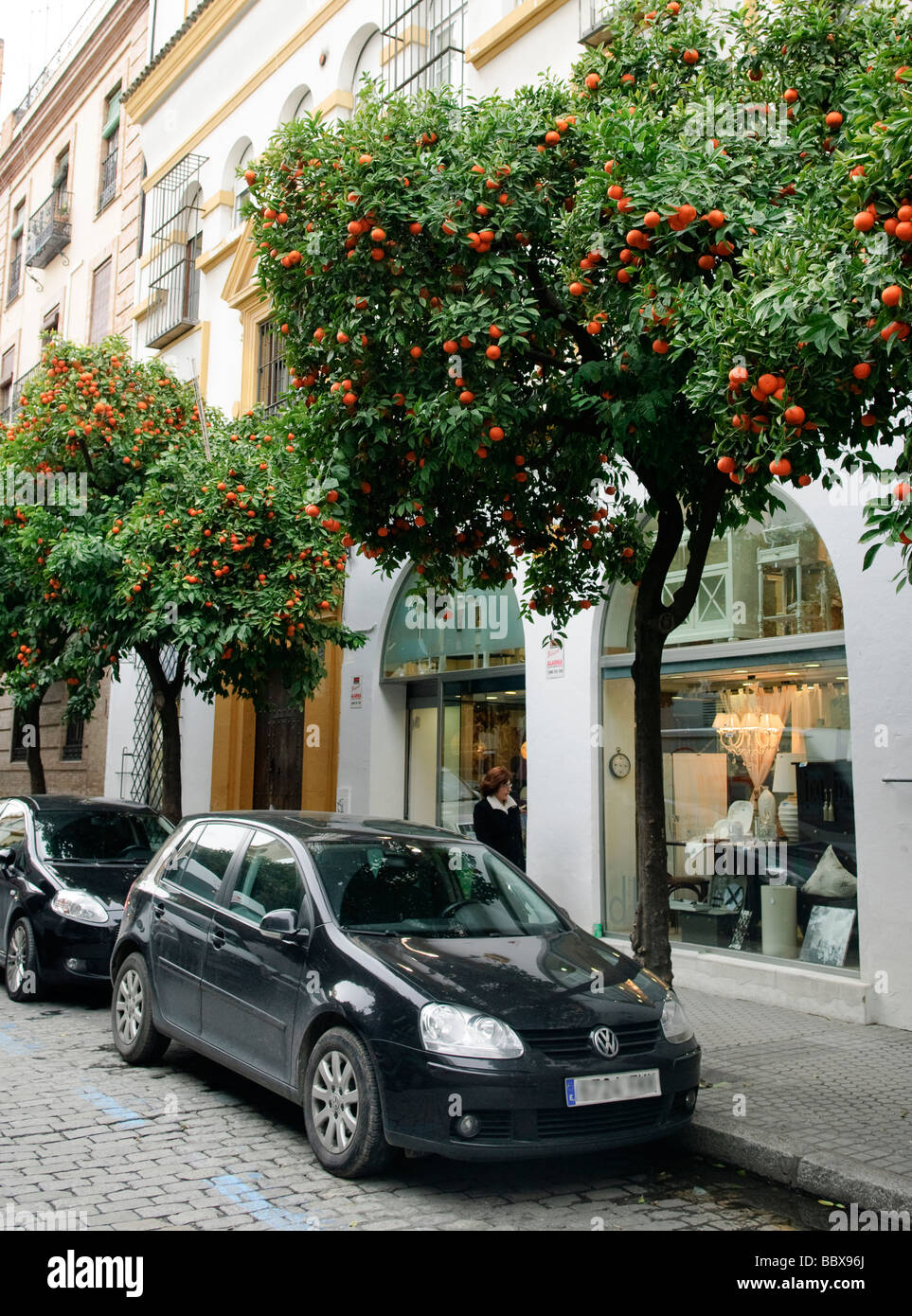 downtown shopping street lined by tangerine trees in Sevilla , Spain ...