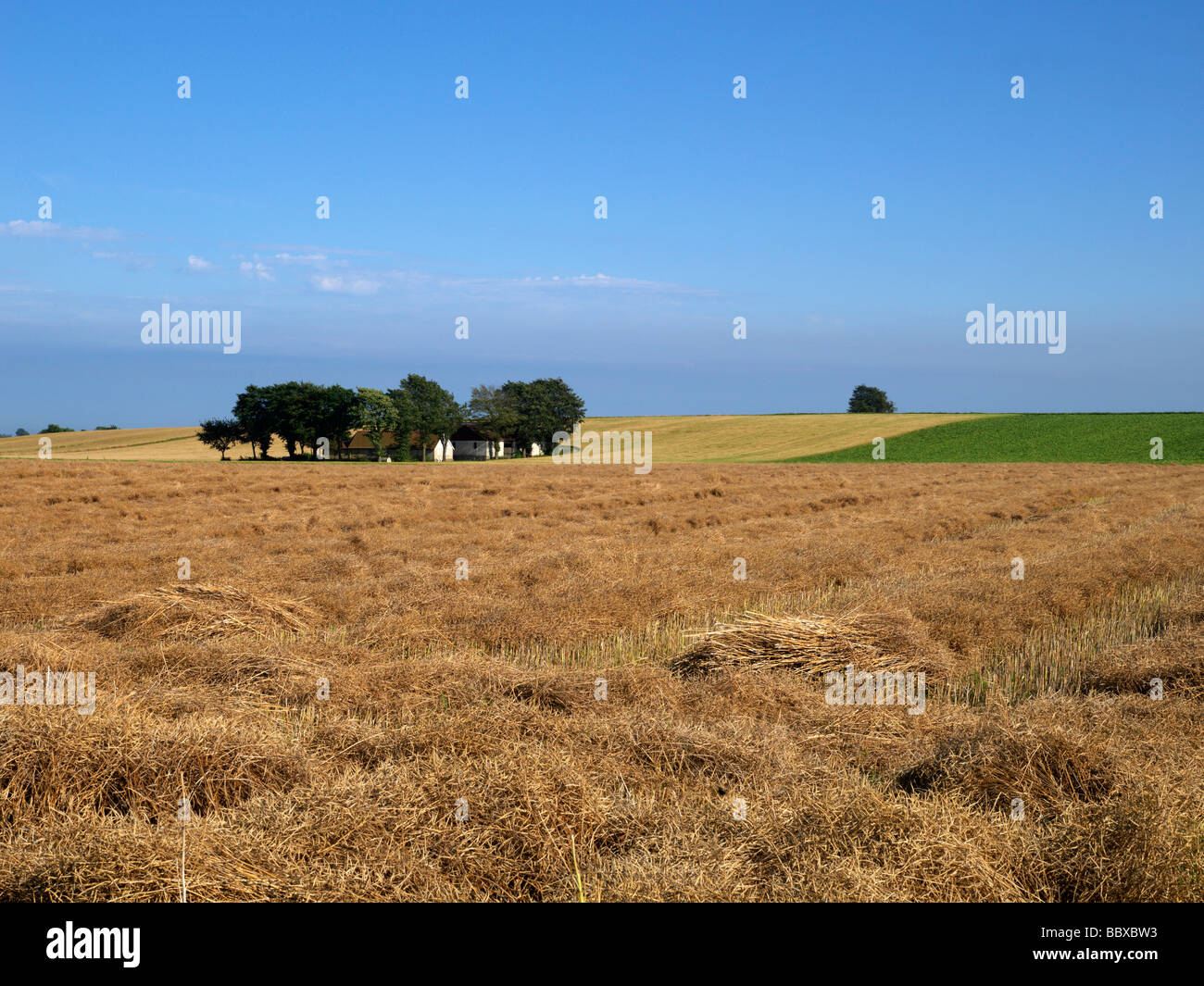 A farmyard on a field Sweden Stock Photo - Alamy