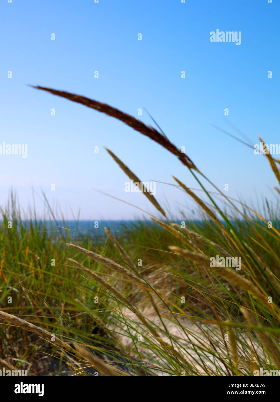 Swedish sea breeze hi-res stock photography and images - Alamy