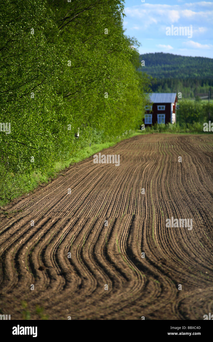 Harrowed arable land Norrbotten Sweden Stock Photo - Alamy