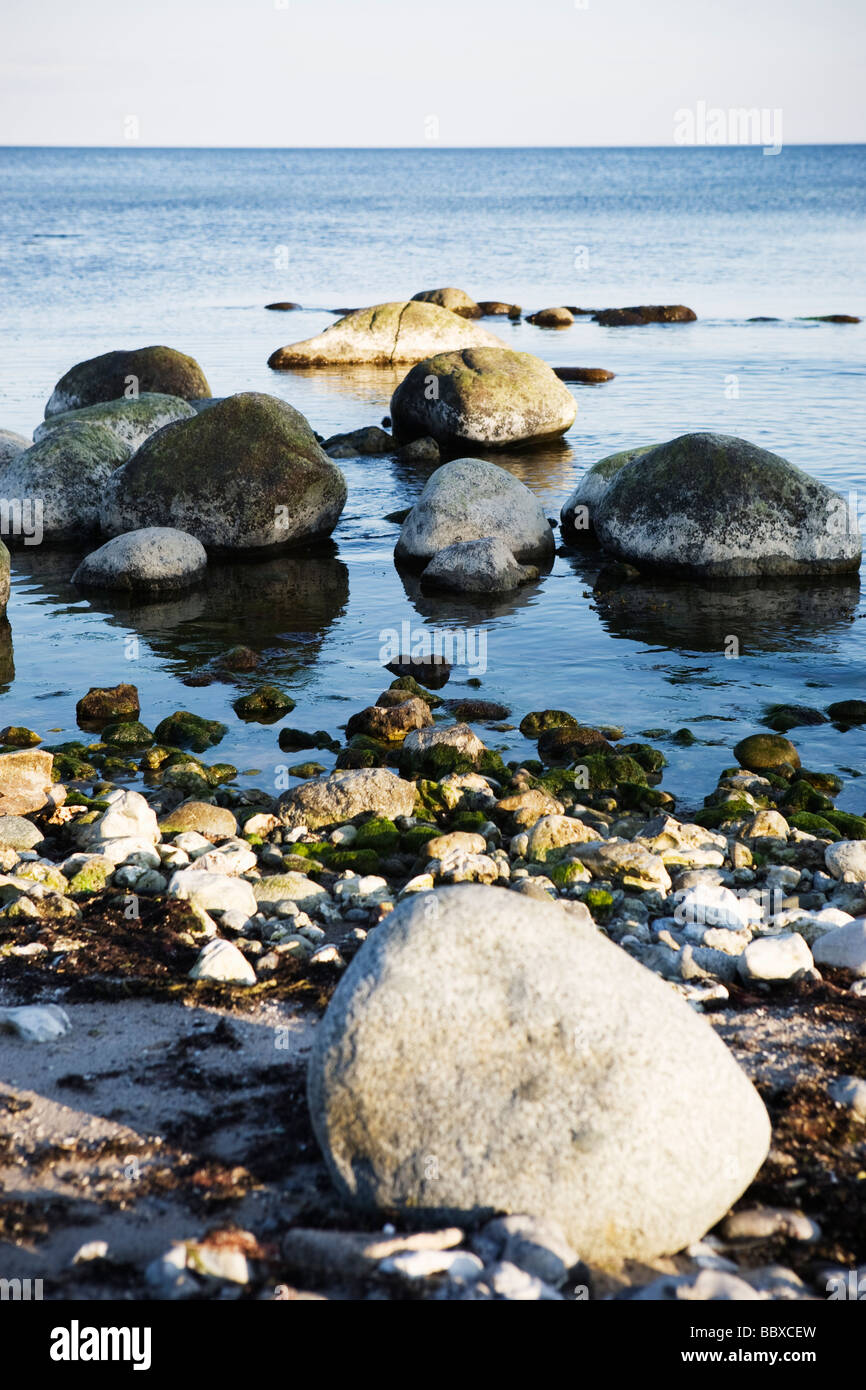 Stones by the beach Stock Photo - Alamy