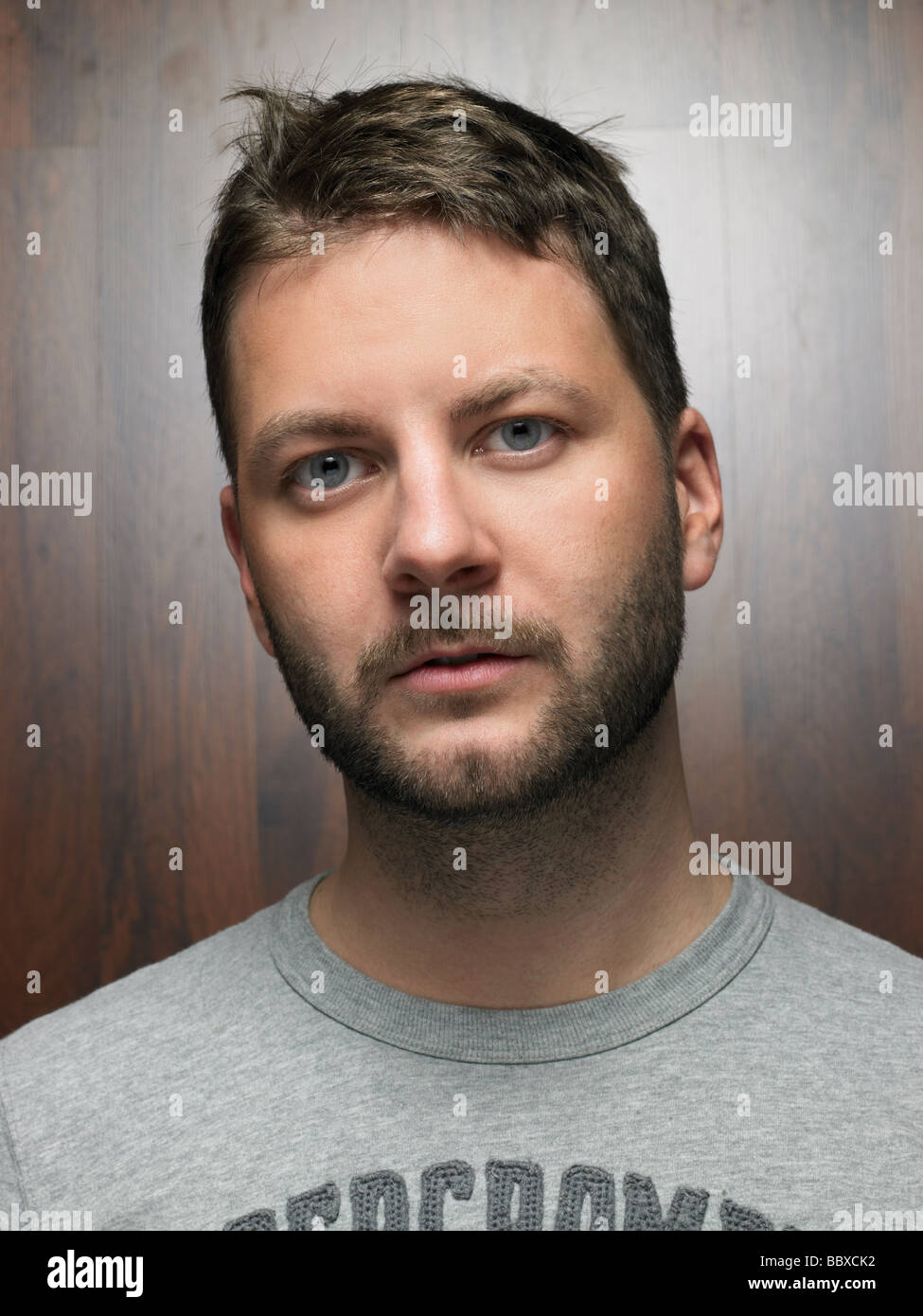 Portrait of a Scandinavian man Stock Photo - Alamy