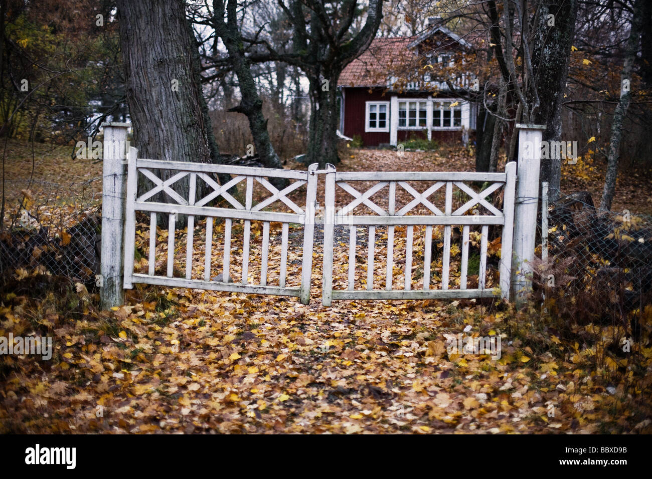 An old gate in front of a house Gotland Sweden Stock Photo - Alamy