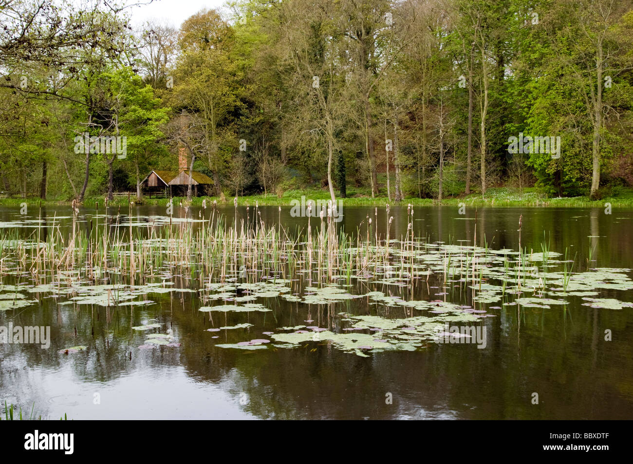 Renishaw Hall gardens,home to the Sitwell family near Eckington ...