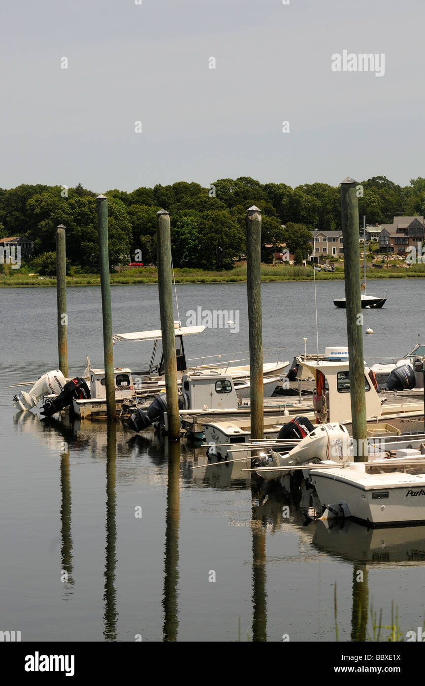 Quahog rhode island hi-res stock photography and images - Alamy