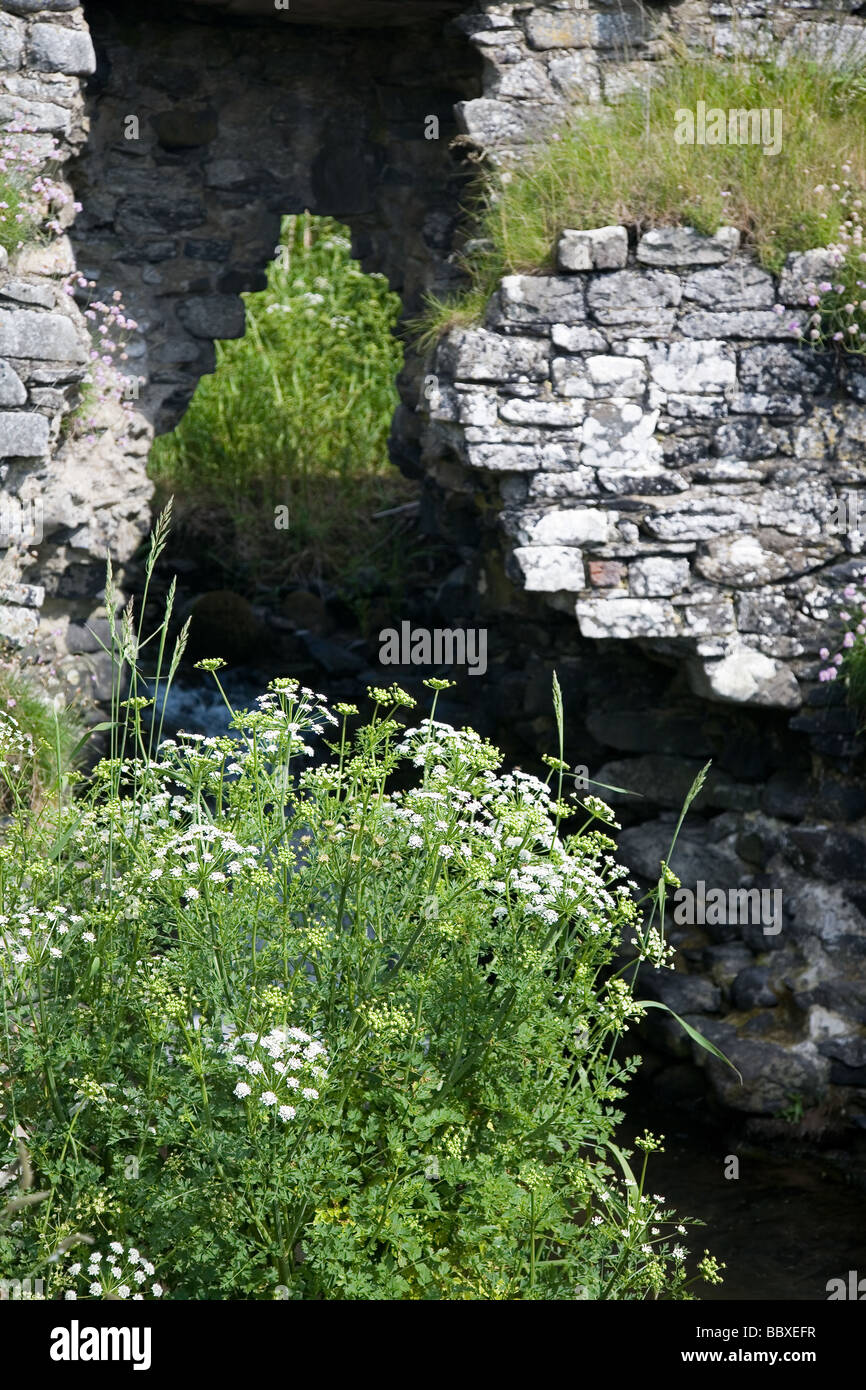 Stream water bridge hi-res stock photography and images - Alamy