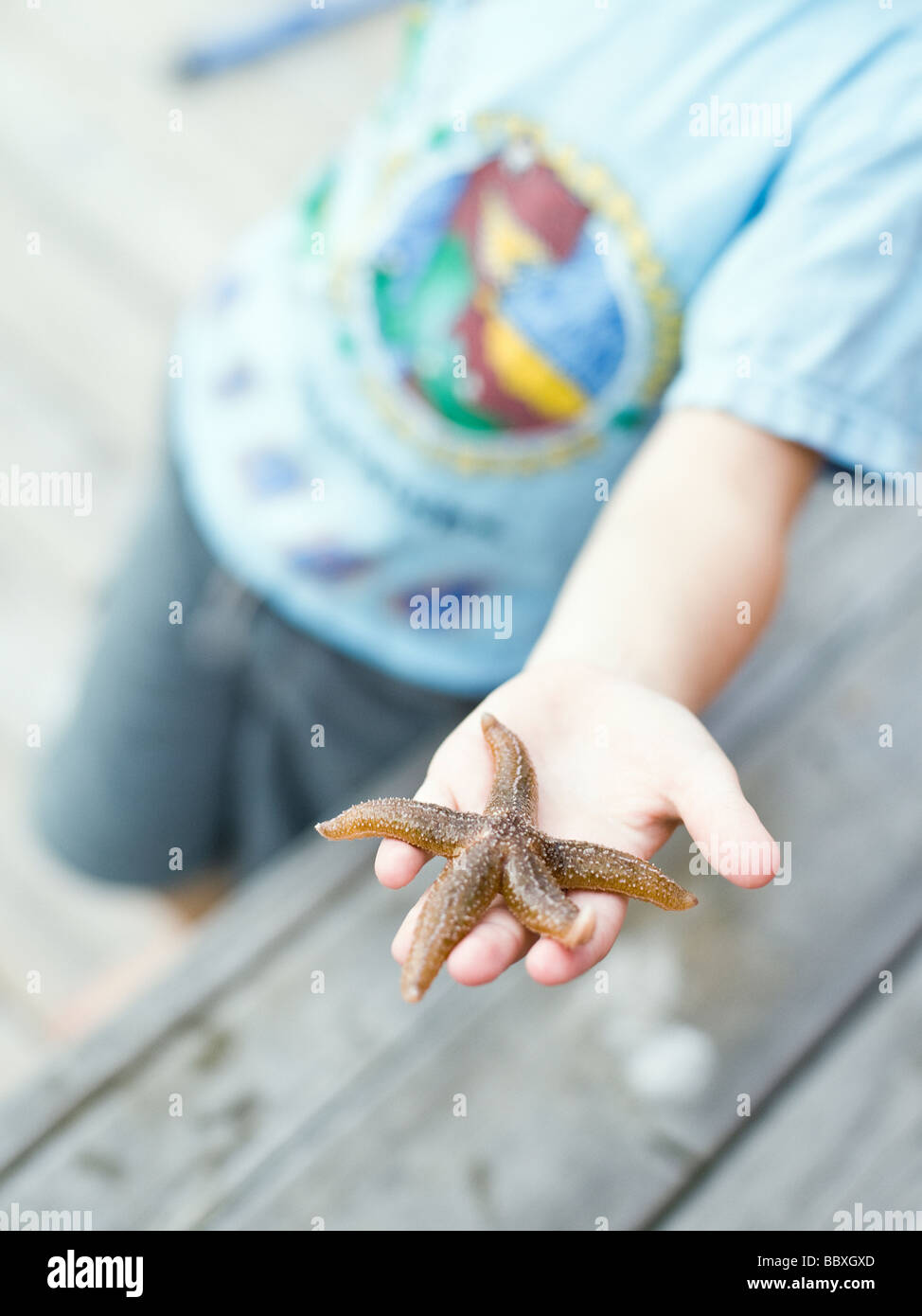 Human hands holding starfish hi-res stock photography and images - Alamy