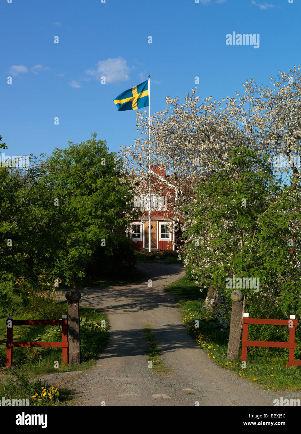 Swedish flag in front of a red house Smaland Sweden Stock Photo - Alamy