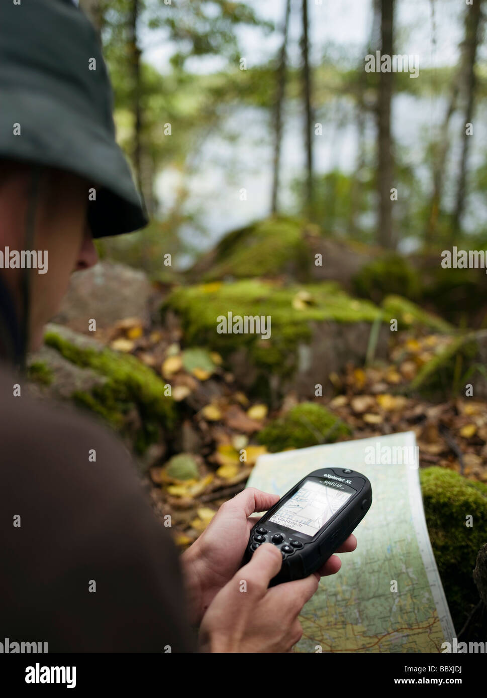 Man lost in the forest Sweden Stock Photo - Alamy