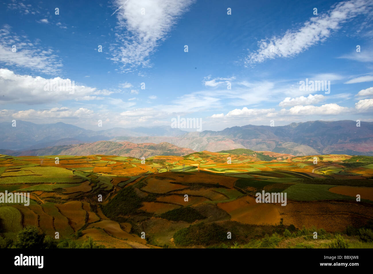 Agriculture in China: The Red Soil Area of Dongchuan is a high-altitude ...