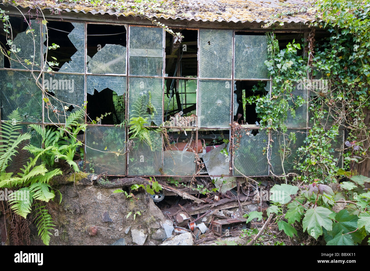 Broken windows at an abandoned workshop Stock Photo - Alamy