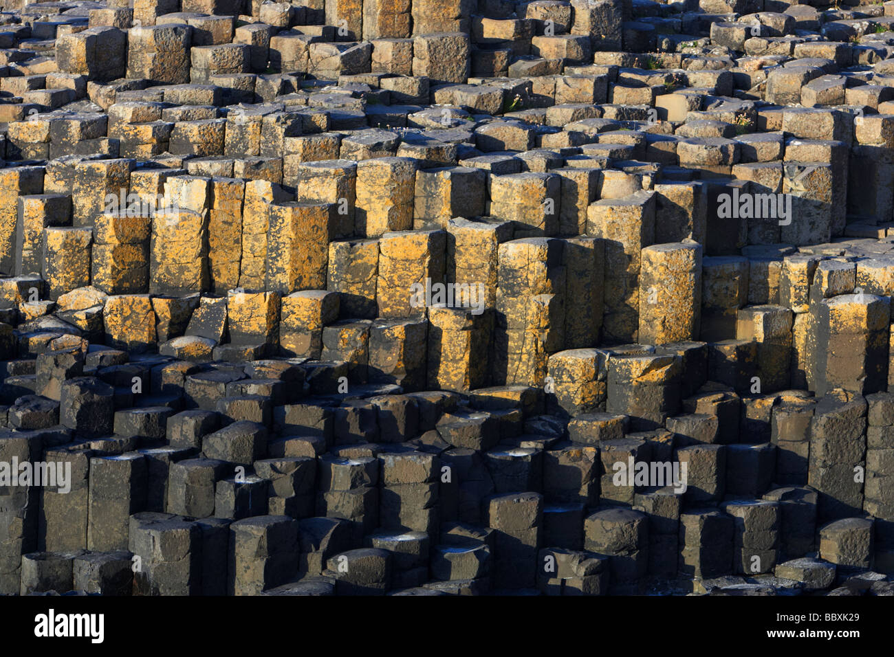 rows of basalt columns giants causeway county antrim coast northern ...