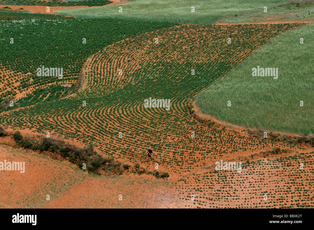 Agriculture in China: The Red Soil Area of Dongchuan is a high-altitude ...