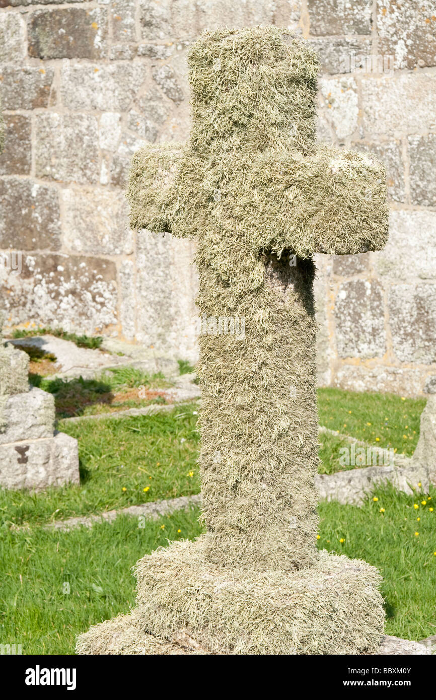 An old lichen-covered stone cross Stock Photo - Alamy