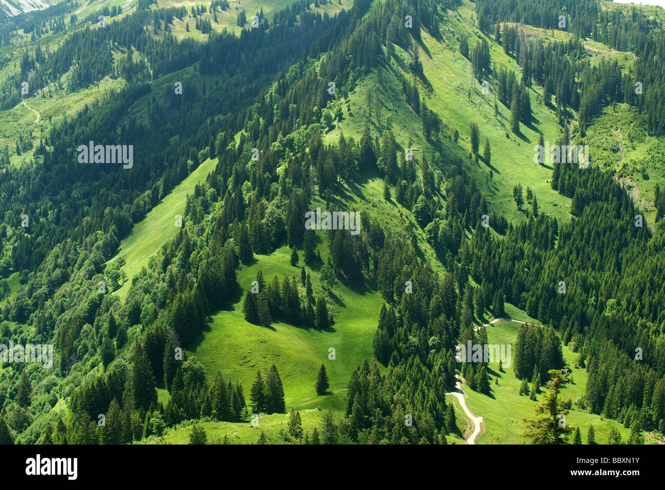 View to the hirschberg hi-res stock photography and images - Alamy