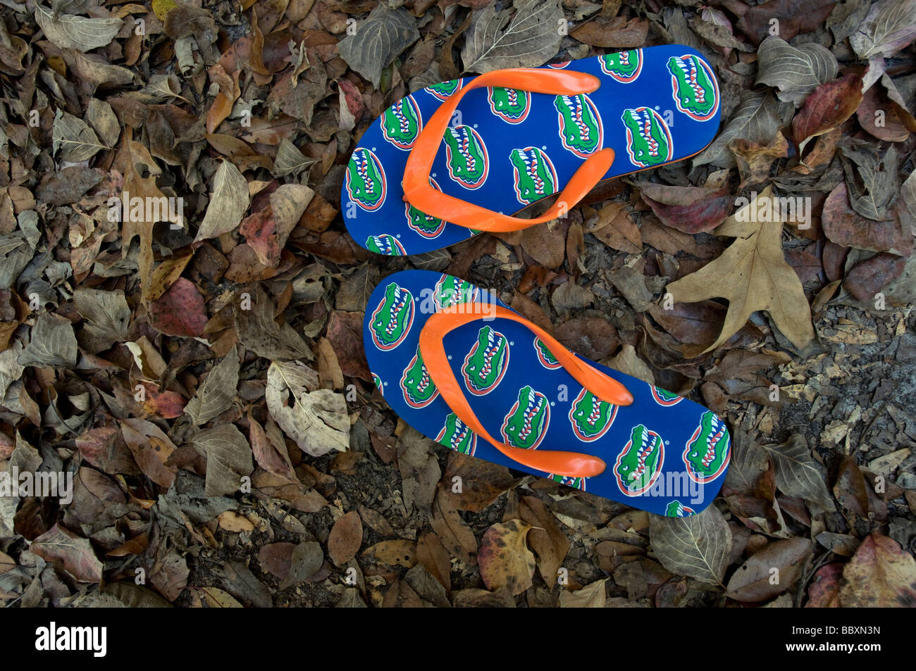 Pair novelty icon iconic logo hi-res stock photography and images - Alamy
