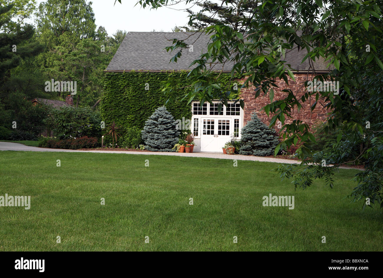 A view of a ivy covered storage barn on an estate. Long expance of ...