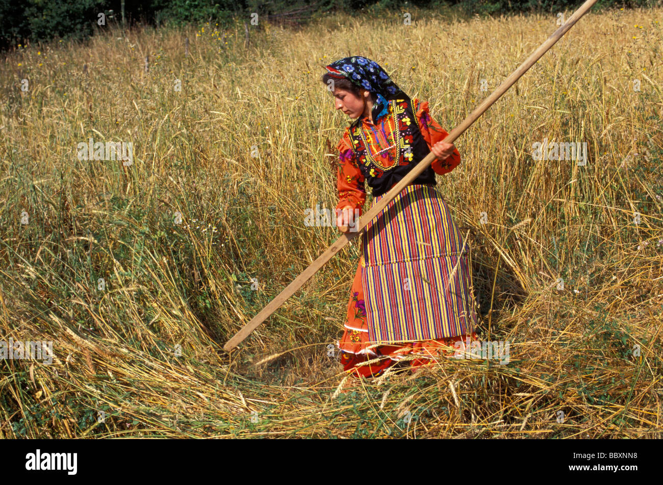 Turkey indigenous people hi-res stock photography and images - Alamy