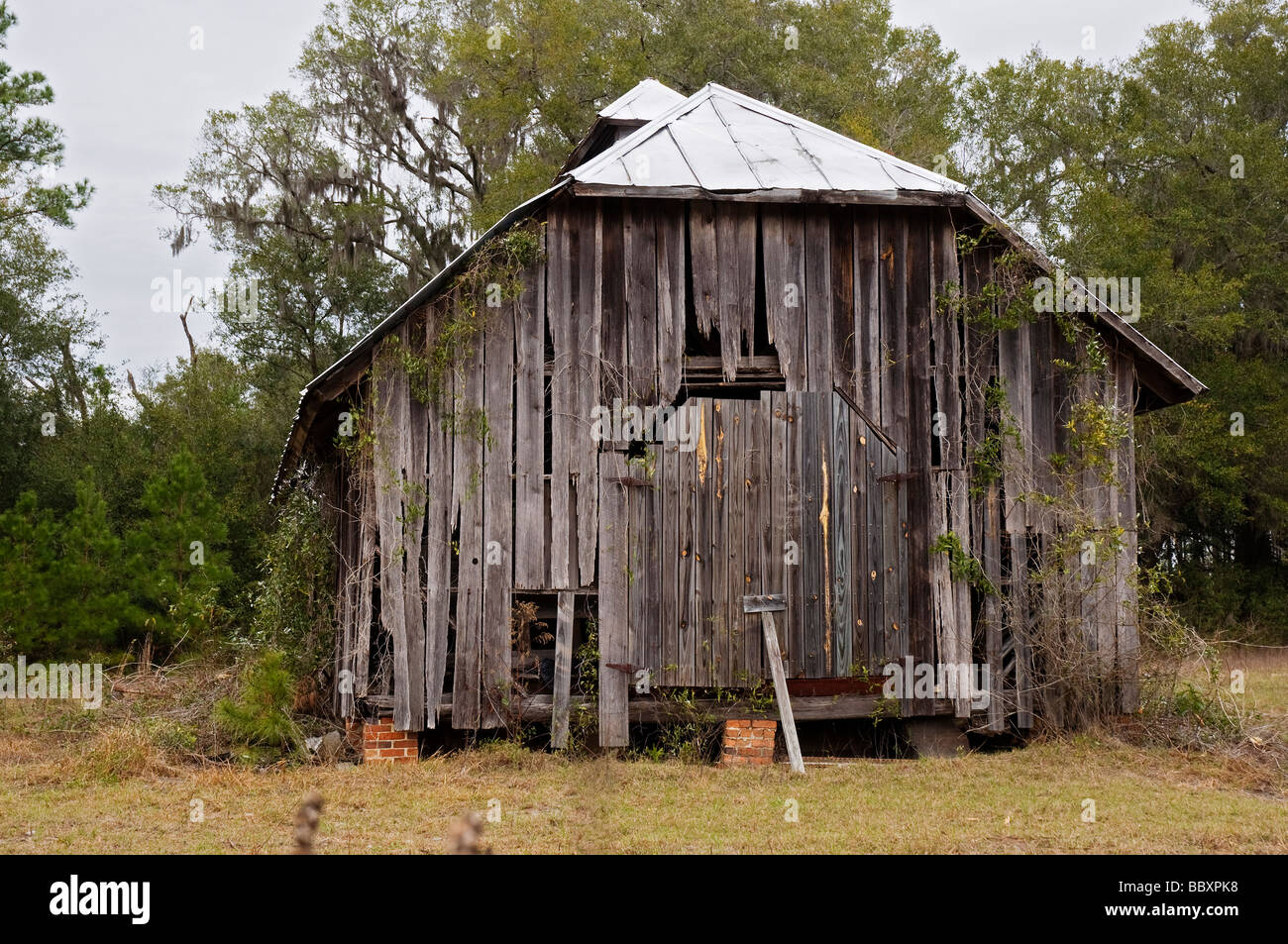 old wooden farm building outside Lake City Florida Stock Photo - Alamy