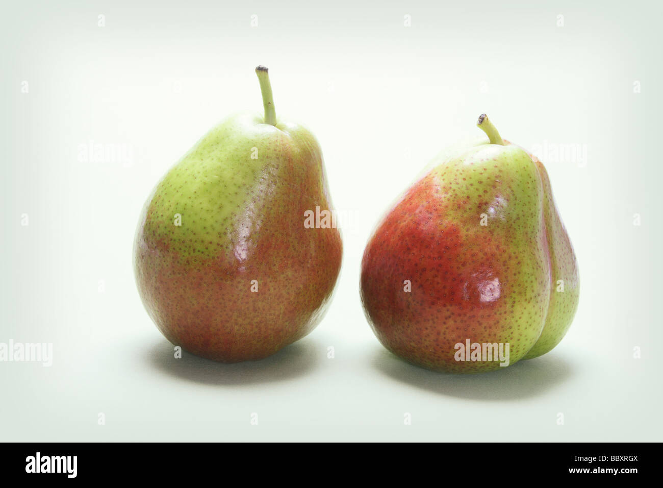 Corella pears hi-res stock photography and images - Alamy