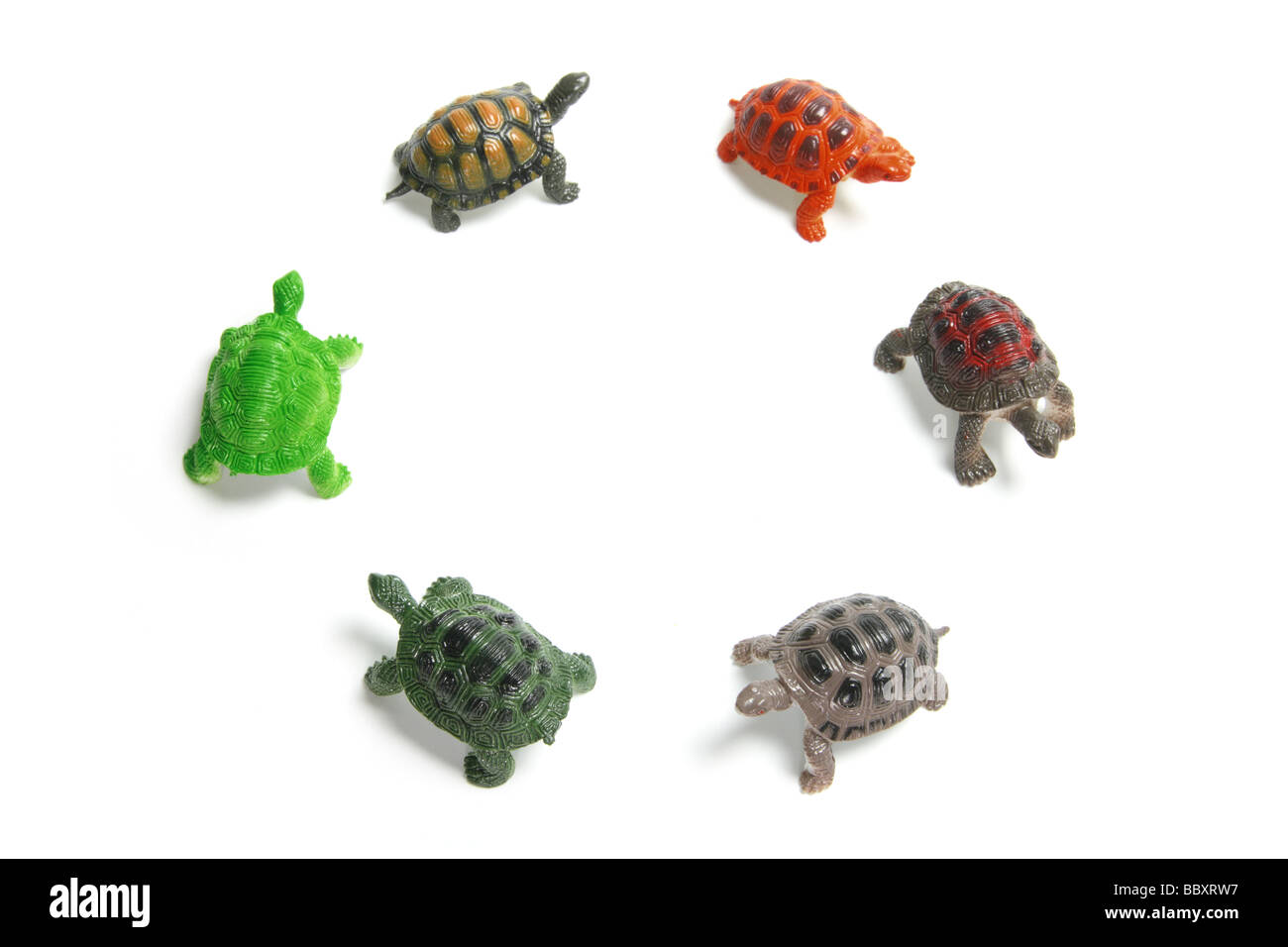 Miniature Plastic Tortoises Stock Photo - Alamy