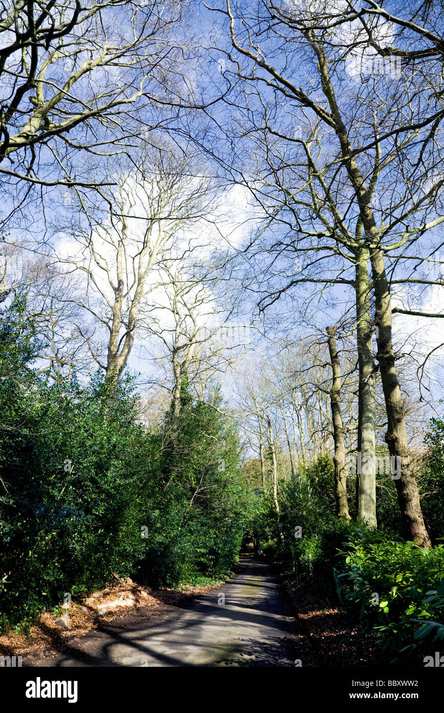 Harrow London High Resolution Stock Photography and Images - Alamy