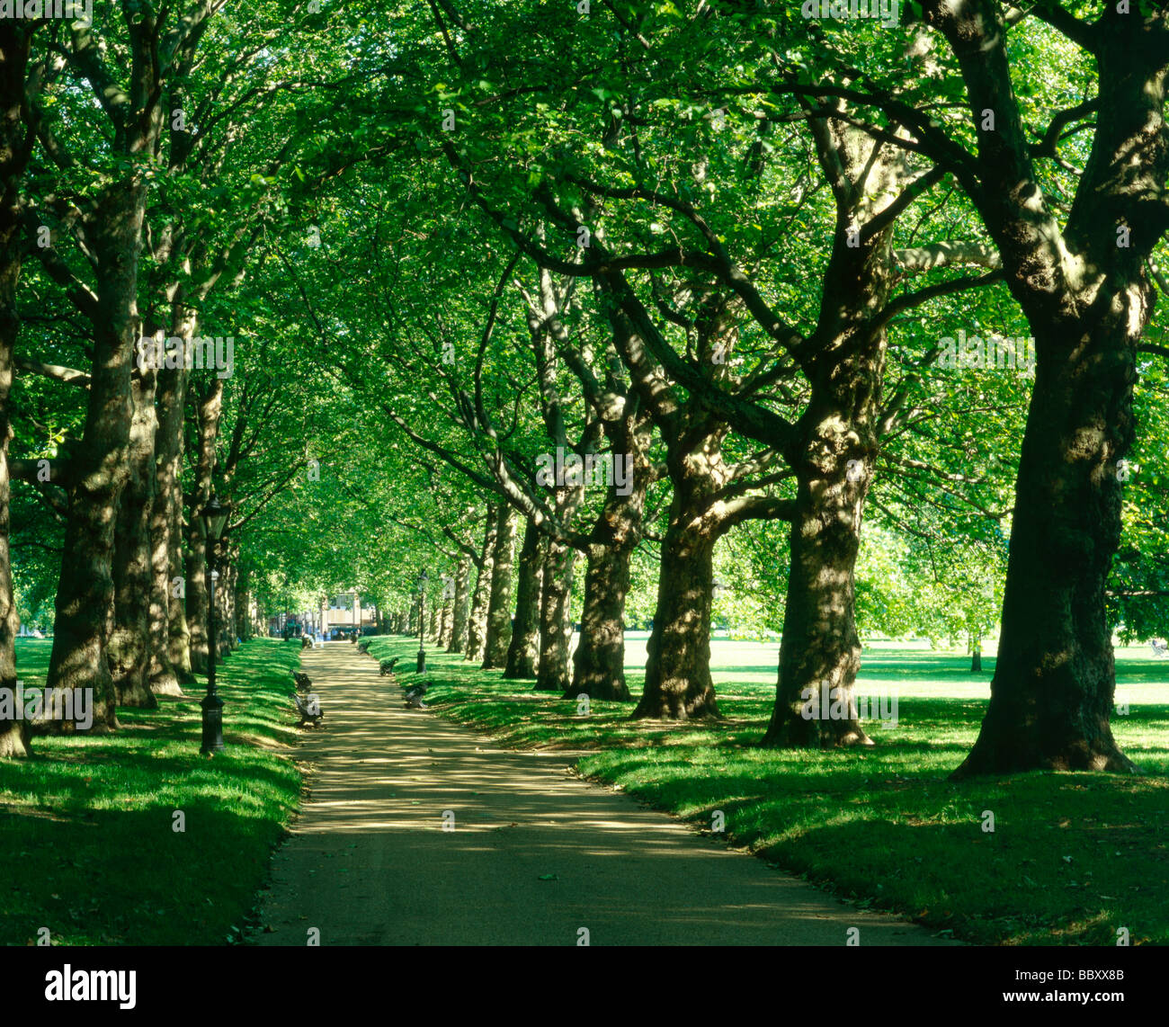 Green Park London Stock Photo - Alamy