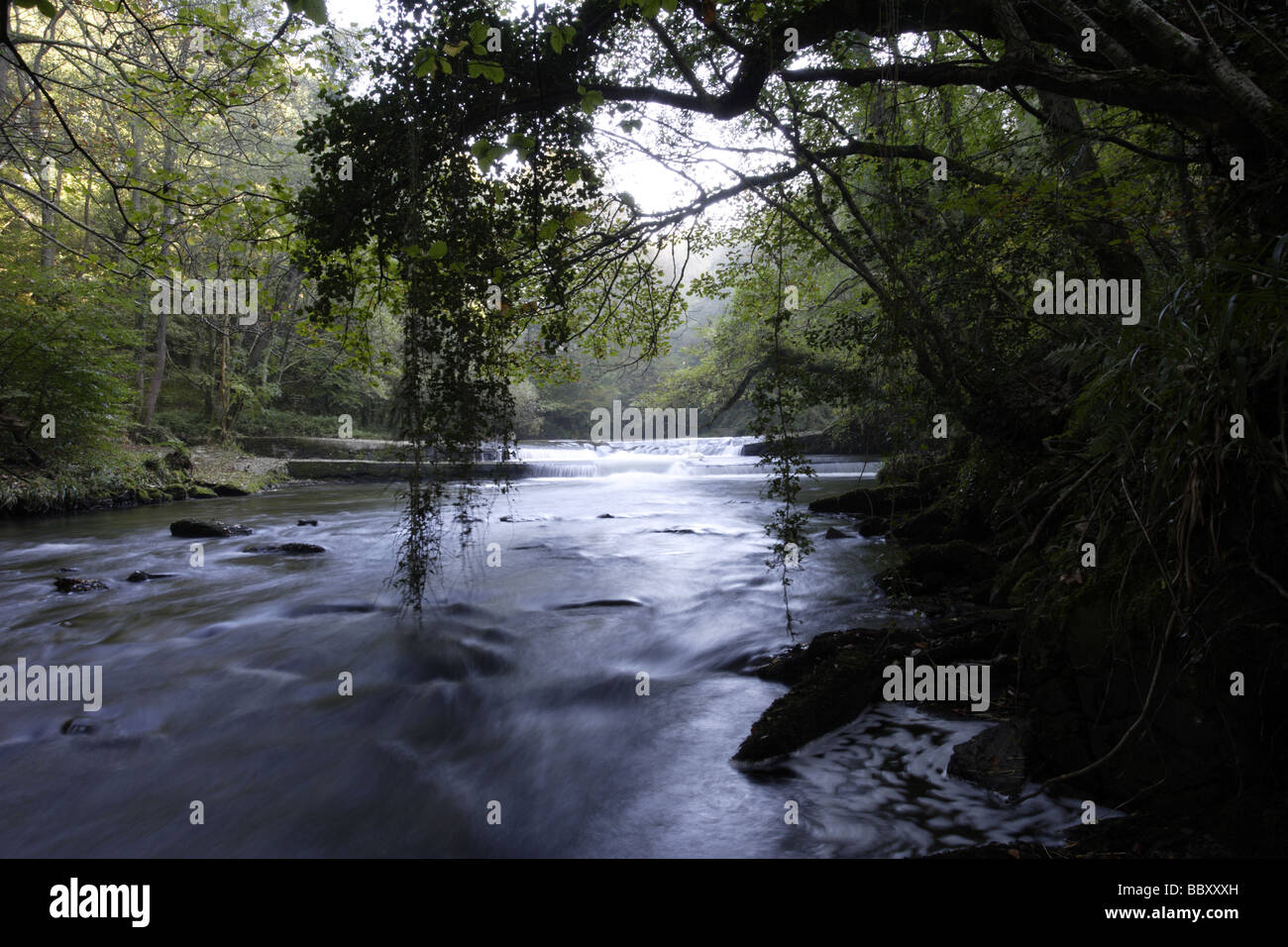 River Camel, Dunmere Stock Photo - Alamy
