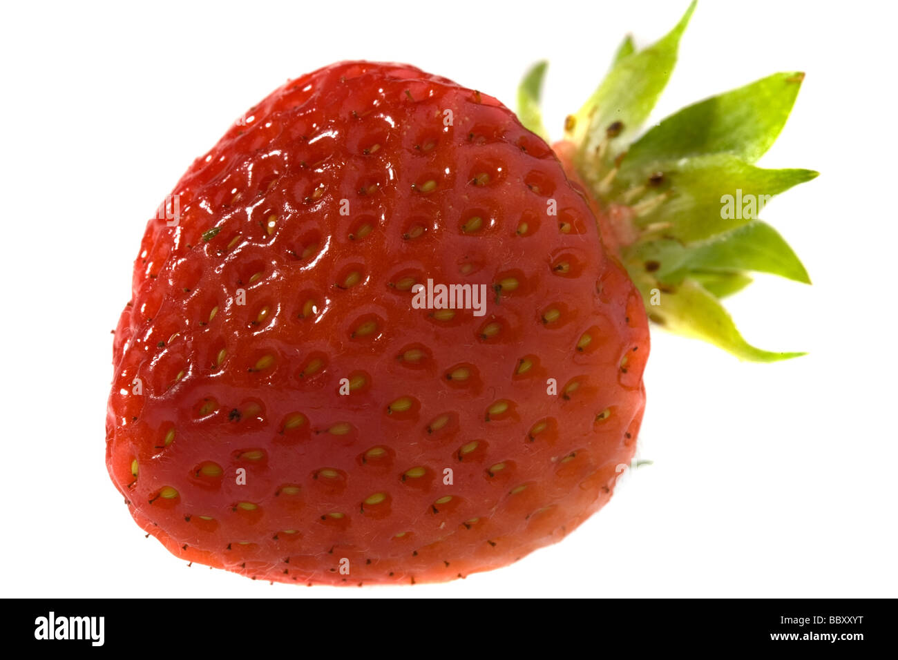 big red berry of strawberry macro isolated on white Stock Photo - Alamy