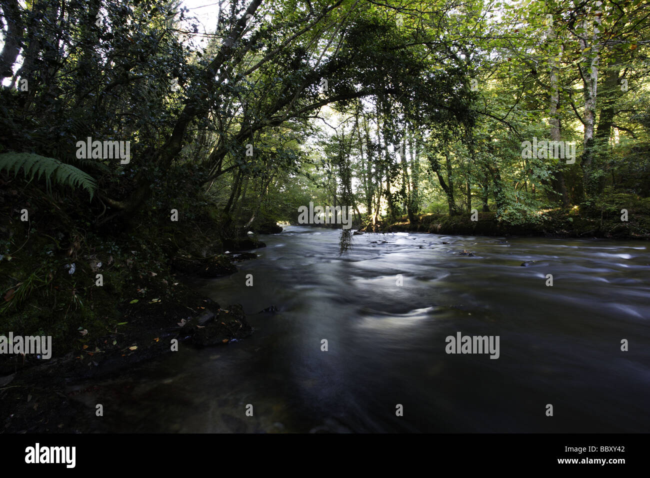 Dunmere hi-res stock photography and images - Alamy