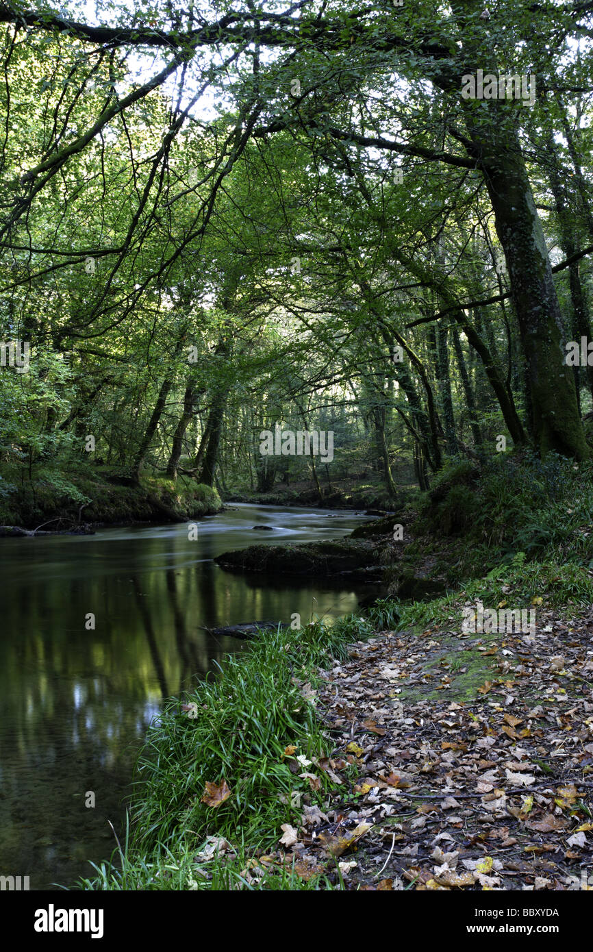 Dunmere hi-res stock photography and images - Alamy