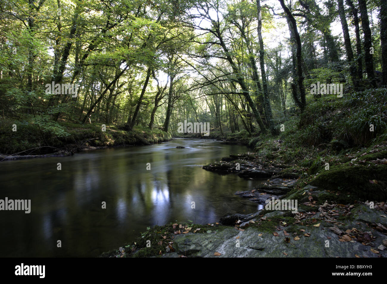 River Camel, Dunmere Stock Photo - Alamy