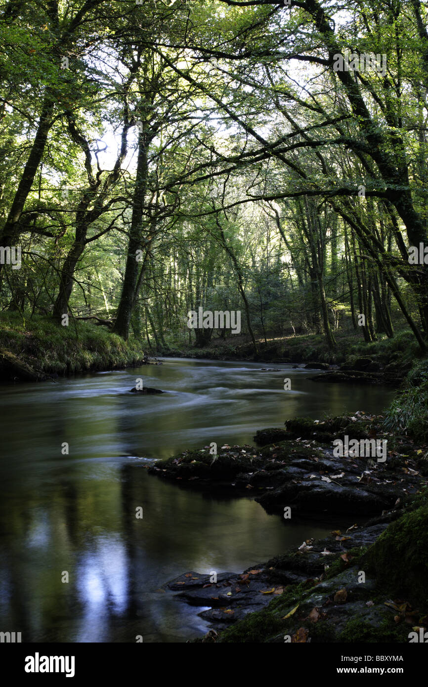 Dunmere hi-res stock photography and images - Alamy