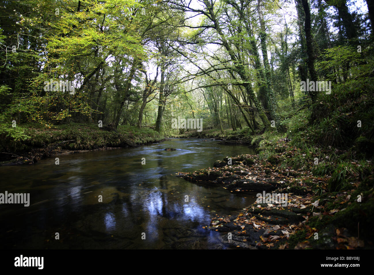 Dunmere hi-res stock photography and images - Alamy