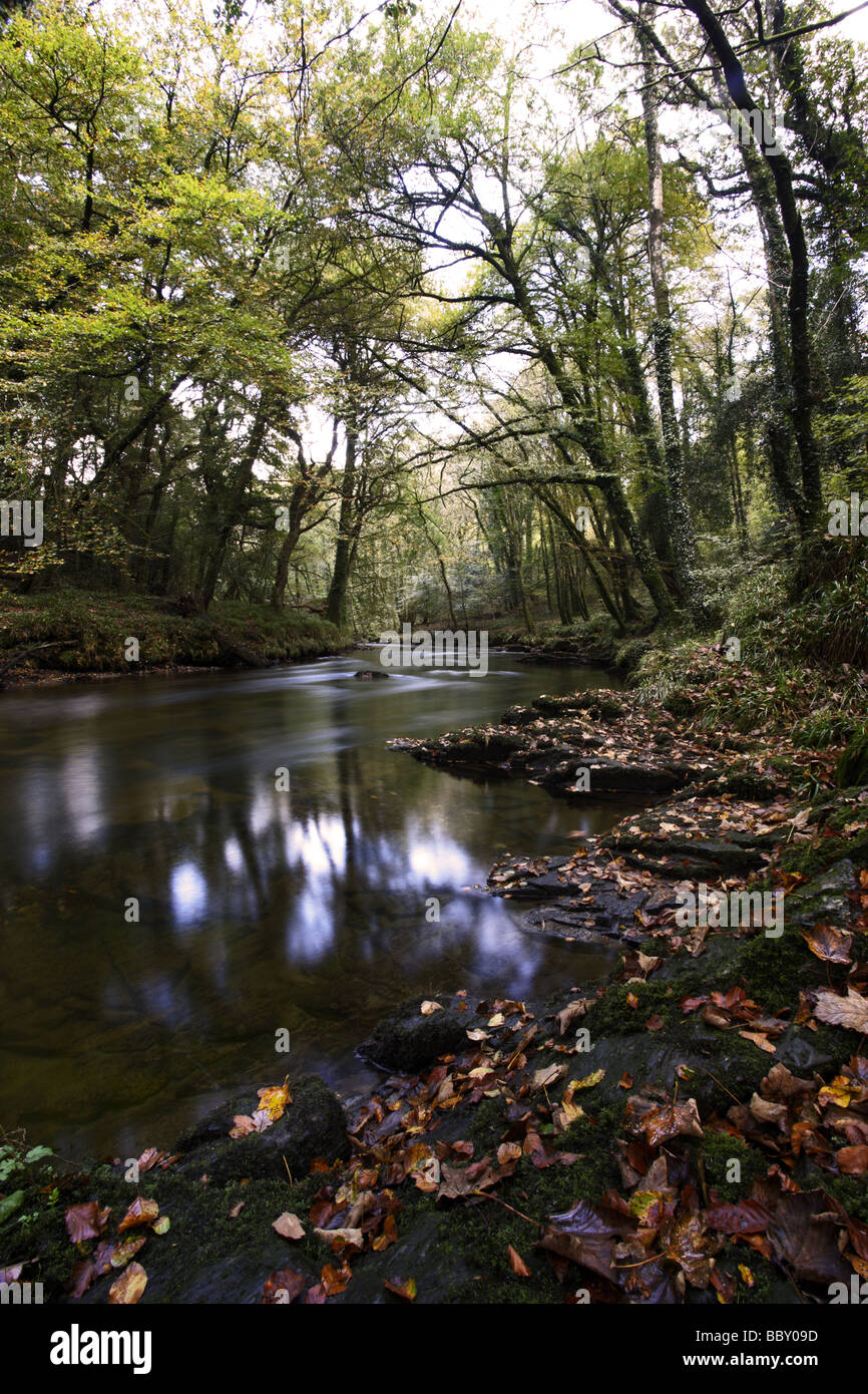 River Camel, Dunmere Stock Photo - Alamy
