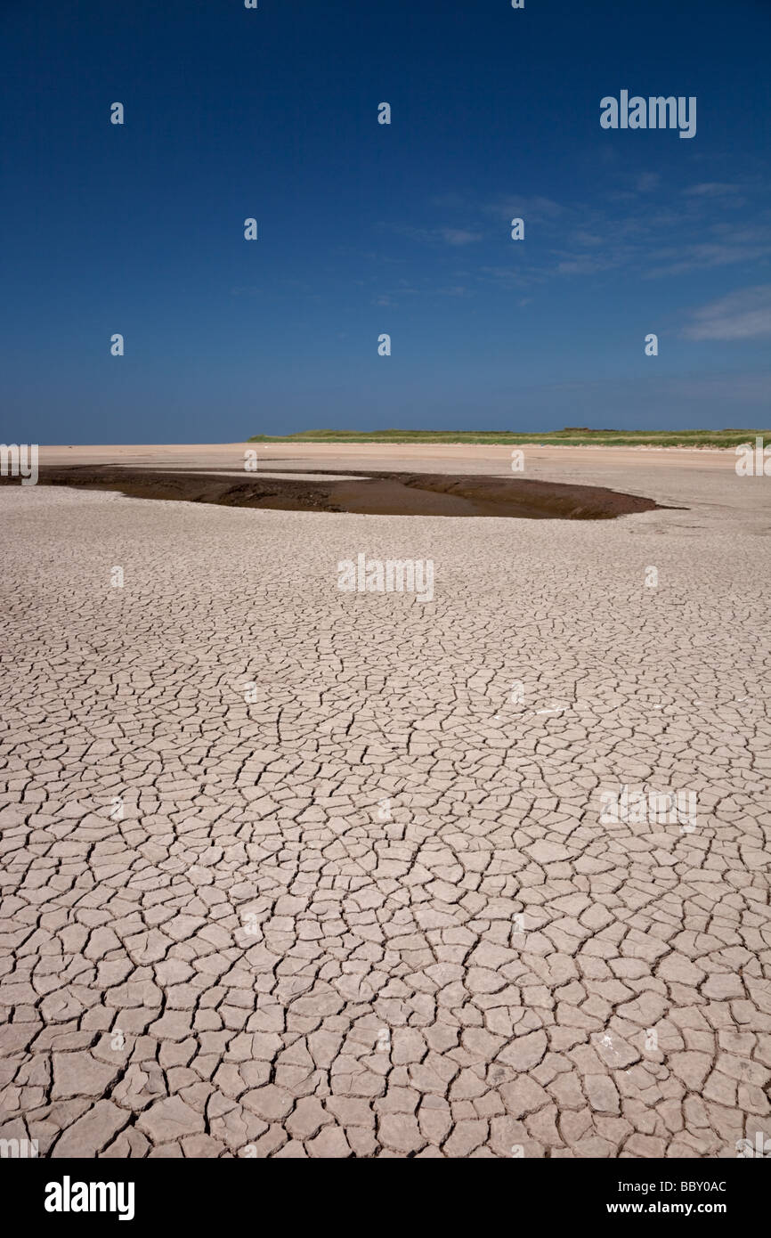 Hot weather drying mud Stock Photo - Alamy