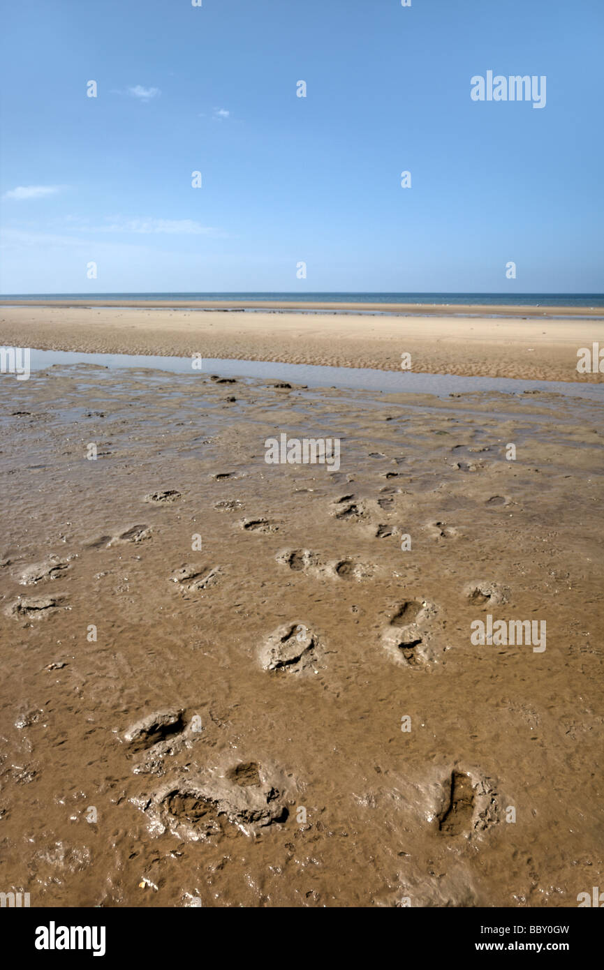 Layers of silt hi-res stock photography and images - Alamy
