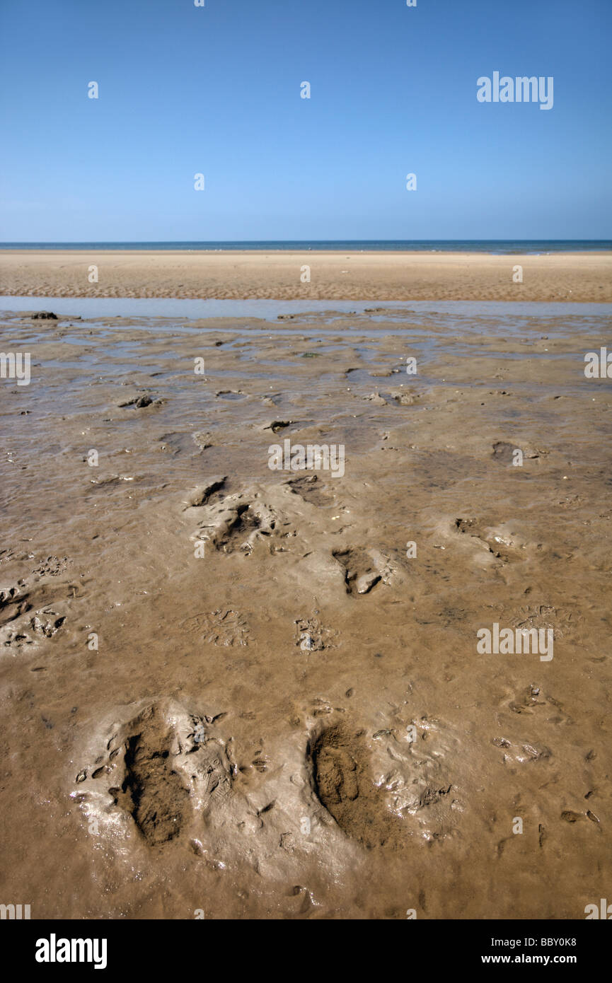 Formby point footprints hi-res stock photography and images - Alamy
