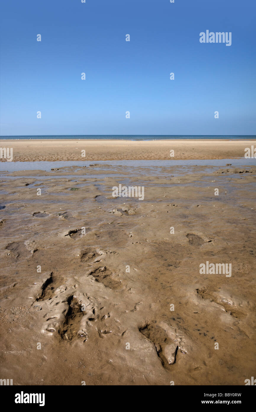 Ancient footprints in silt layers at Formby Stock Photo - Alamy