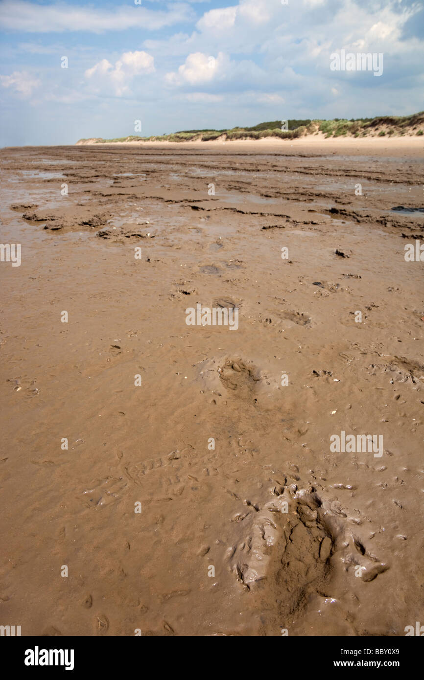 Footprints in mud hi-res stock photography and images - Alamy