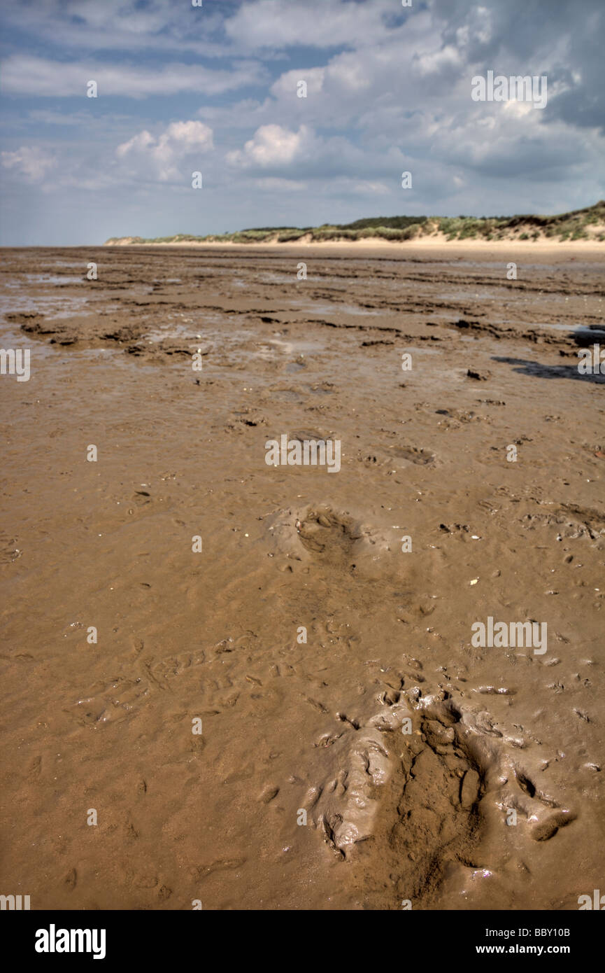 Layers of silt hi-res stock photography and images - Alamy
