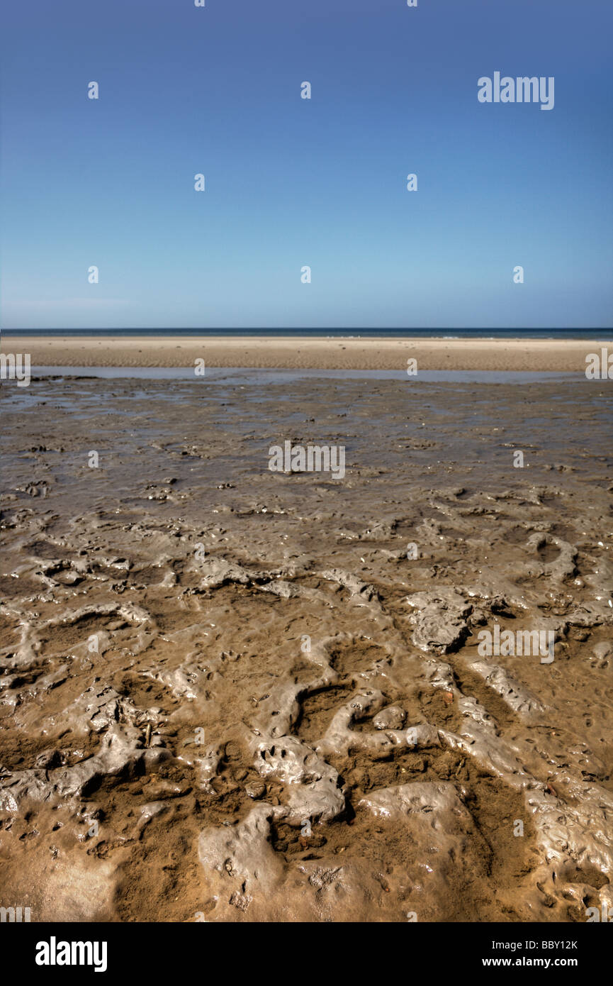 Ancient footprints in silt layers at Formby Stock Photo - Alamy