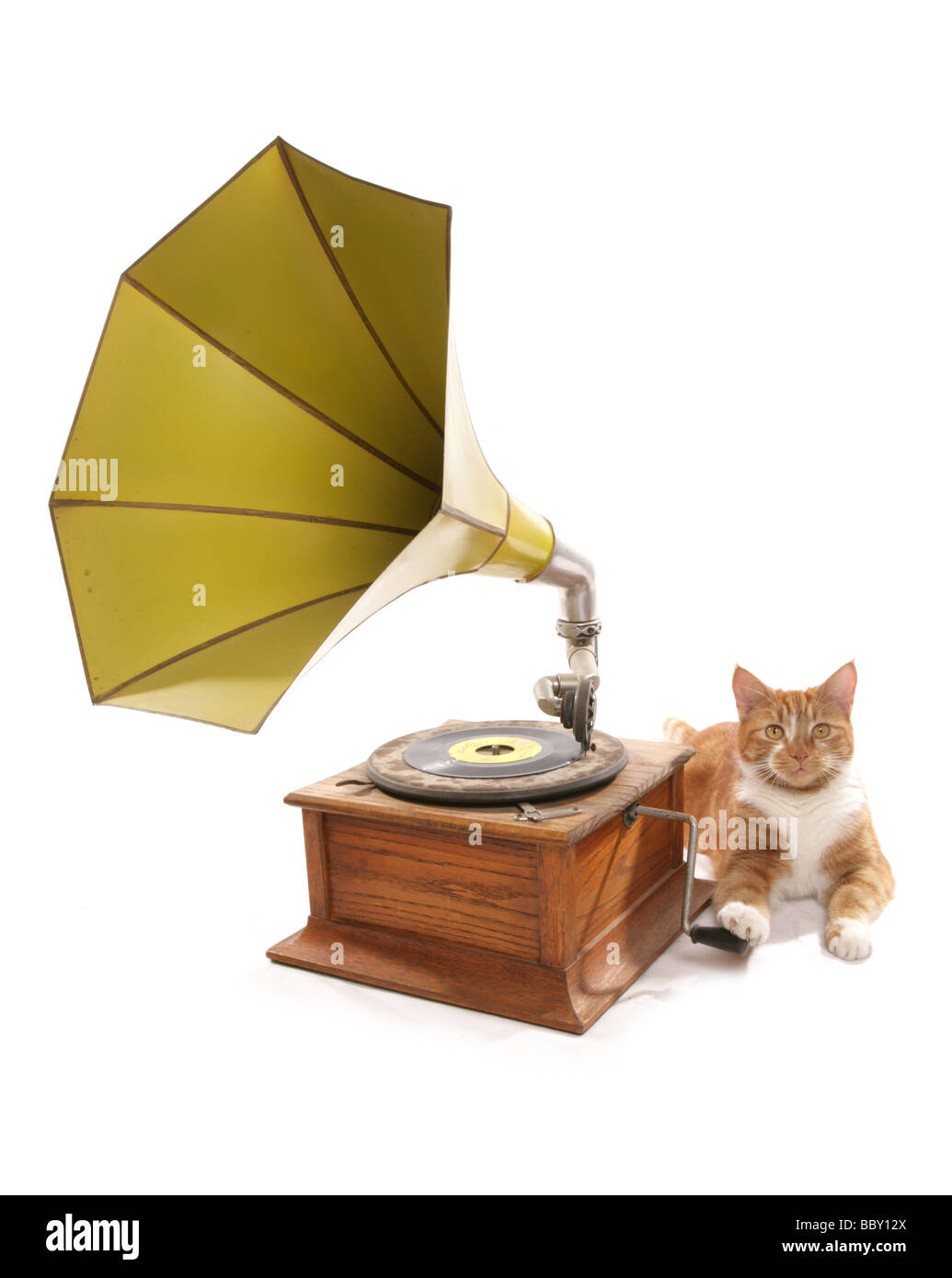 ginger cat winding up an old gramophone portrait in a studio Stock ...
