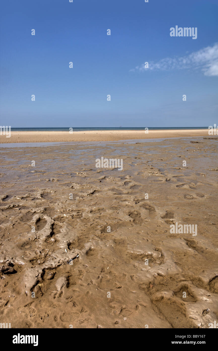 Ancient footprints in silt layers at Formby Stock Photo - Alamy