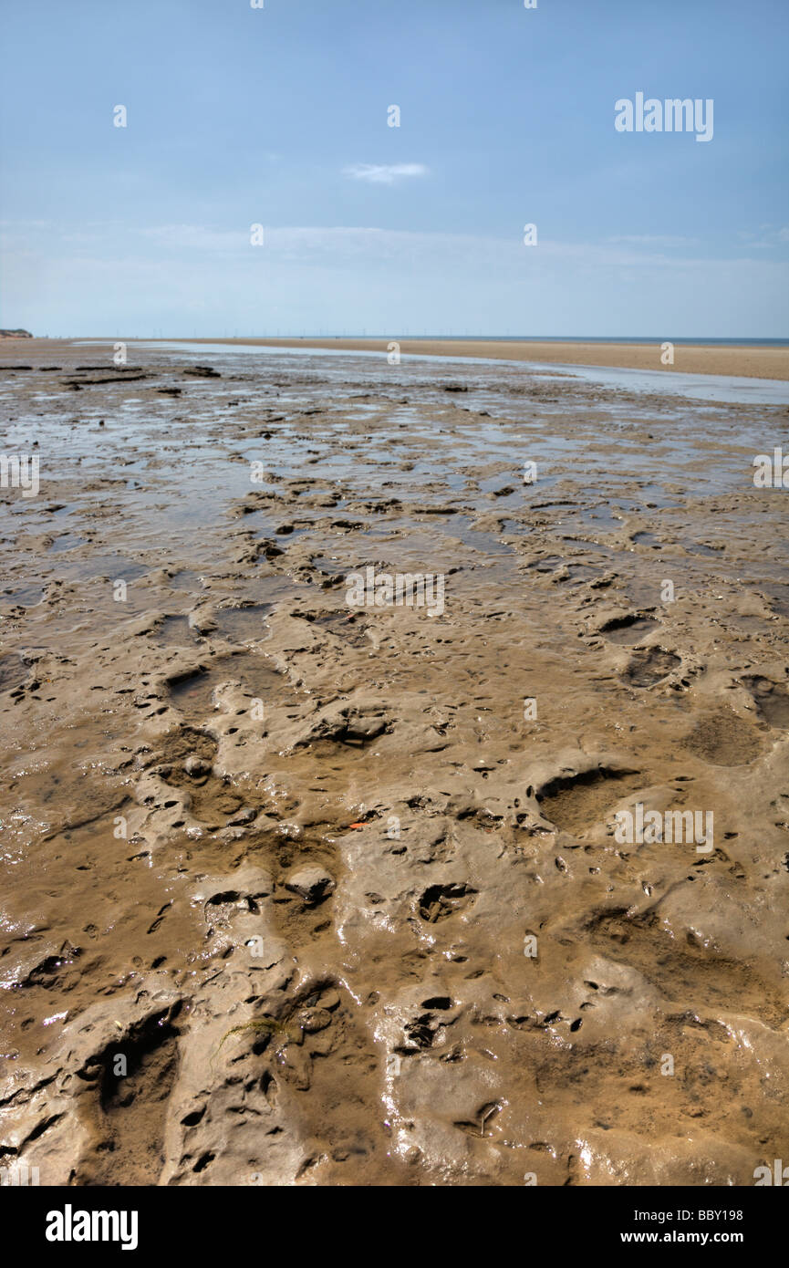 Layers Of Silt High Resolution Stock Photography and Images - Alamy