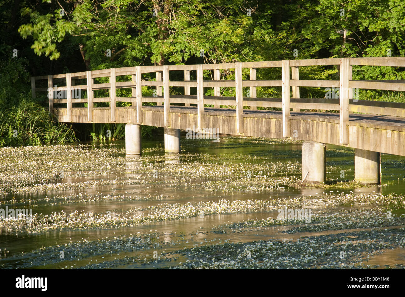 River kennet footpath hi-res stock photography and images - Alamy