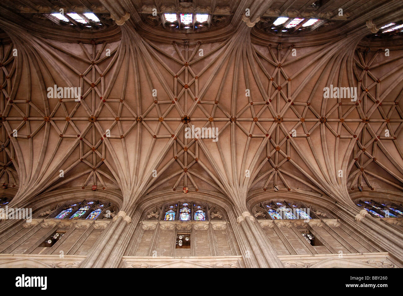 Ceiling inside a cathedral Stock Photo - Alamy