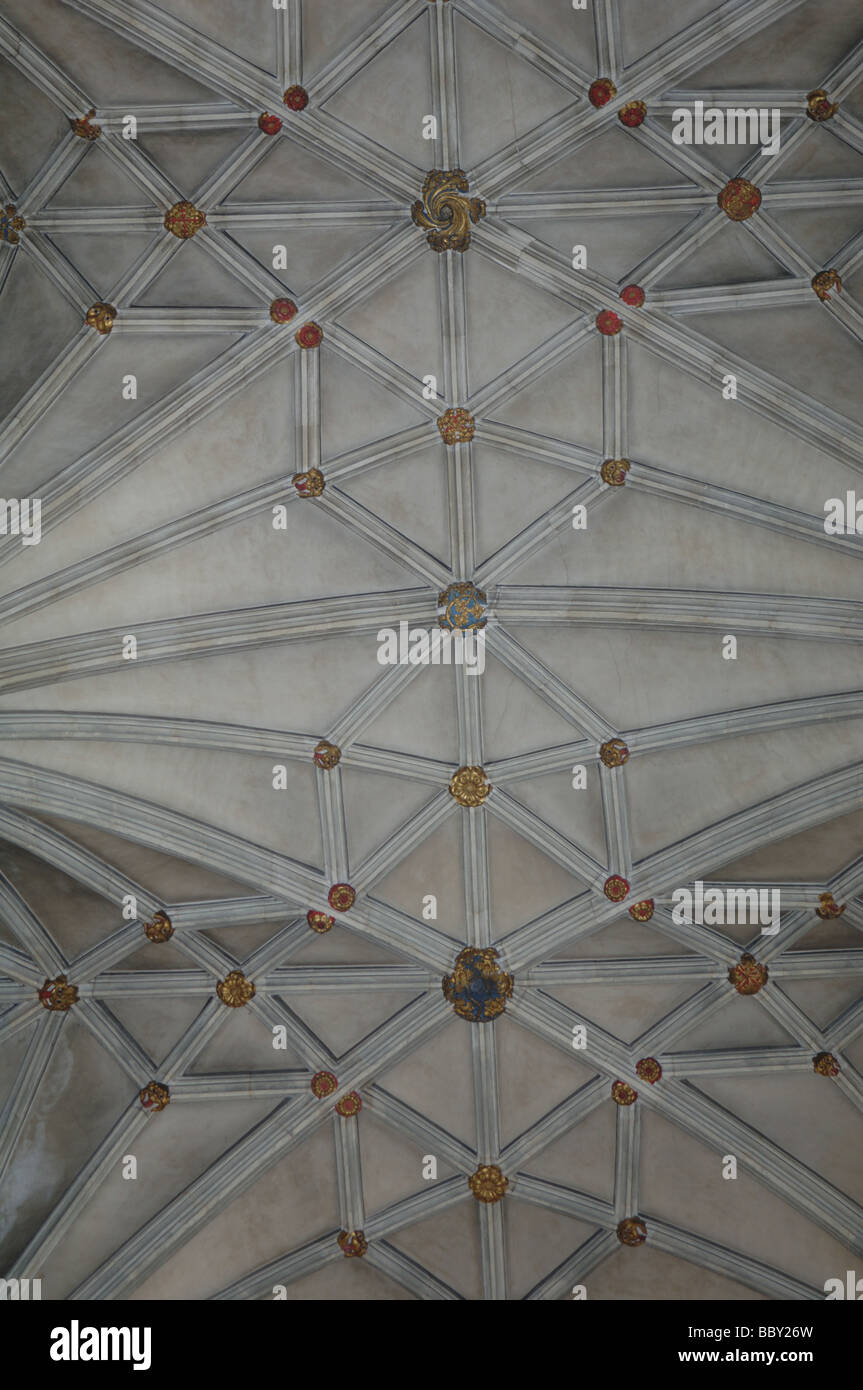 Ceiling inside a cathedral Stock Photo - Alamy